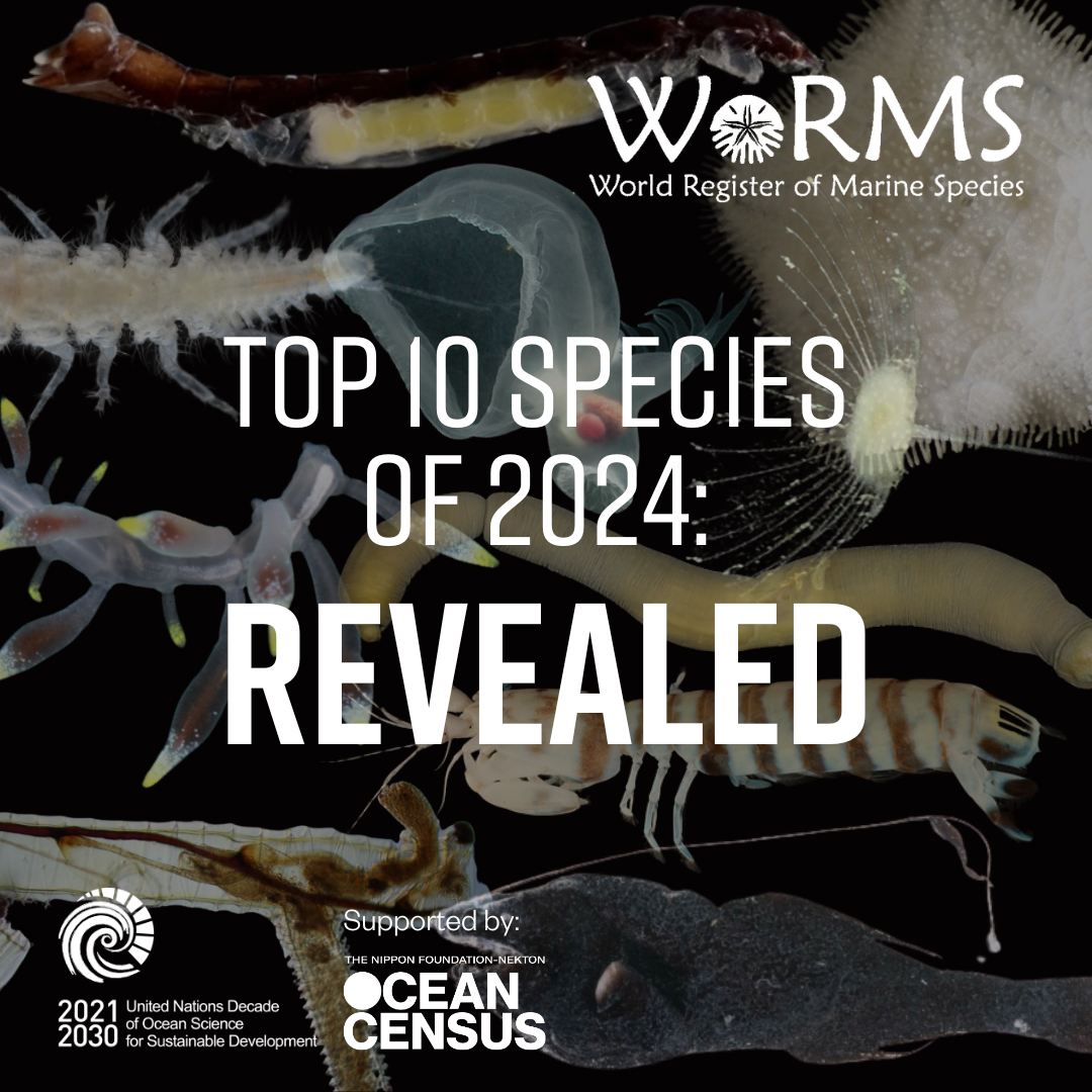 WoRMS - World Register of Marine Species